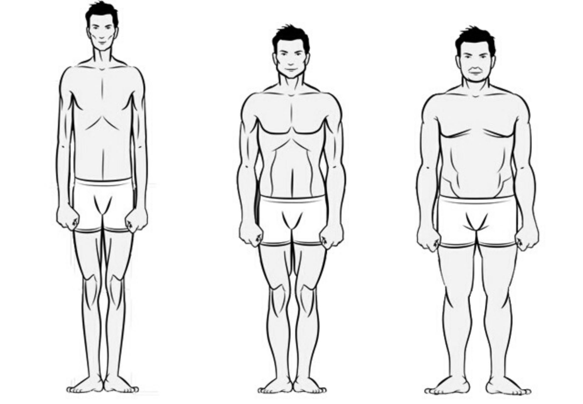 More Male Body Shapes Male Body Shapes Body Type Drawing Body Shape More Male Body Shapes Male Body Shapes Body Type Drawing Body Shape